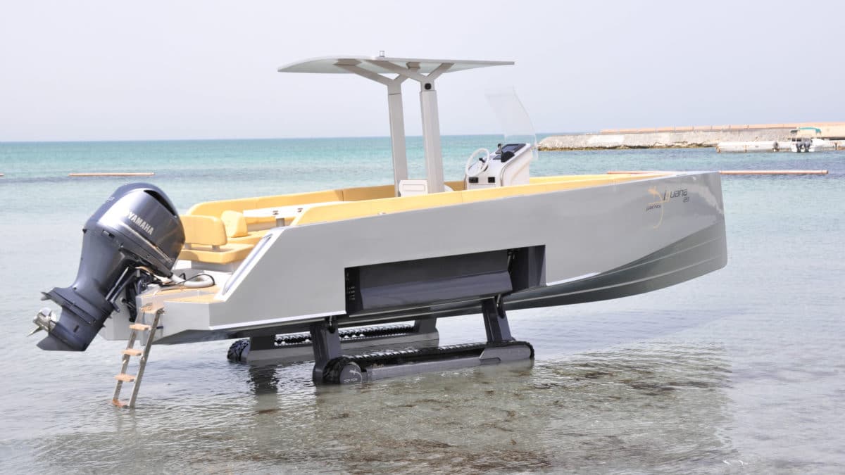 AN IGUANA IN GRANVILLE, HOMETOWN OF THE COMPANY | Iguana Yachts