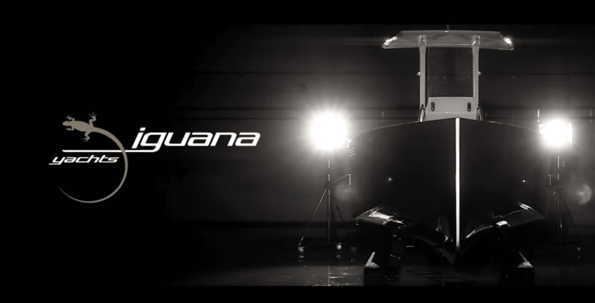 Amphibious Boats - Most Capable Worldwide | Iguana Yachts